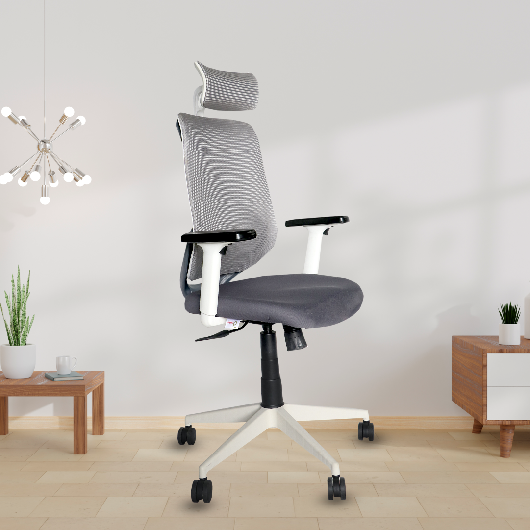 Premium Chairs – OOLIVE
